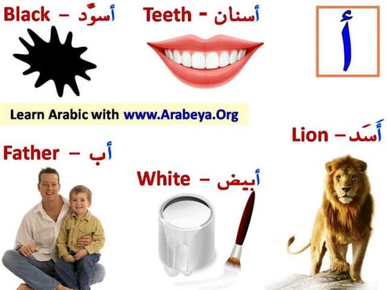 Learn Verbs In Modern Standard Arabic | PPSX