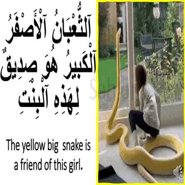 LEARN Arabic WITH SHORT STORY. | PPTX