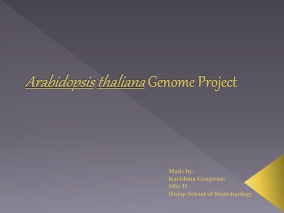 Plant genome project | PPT