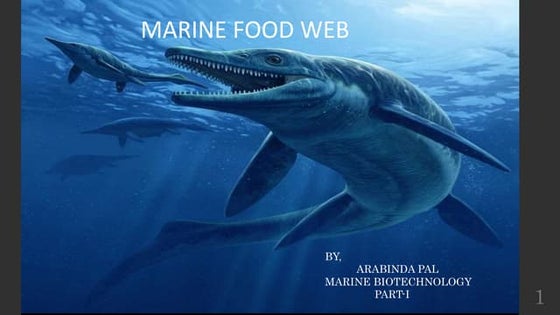 Marine food chain | PPTX | Food & Drink