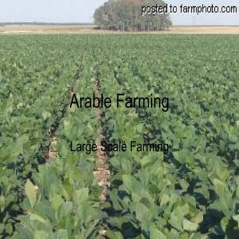 Arable Farmingpowerpoint[1] | PPT