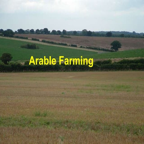 Arable farming | PPT