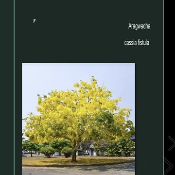 Aragwadha.pptxha kkanya. Kay a jao sun sojbsu | PPTX