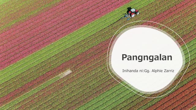 Tatlong Uri ng Pangngalang Pambalana - Tahas, Basal at Lansakan | PPTX