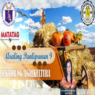 Ang Mga Sektor ng Agrikultura, paghahalaman, paghahayupan, pangugubat ...