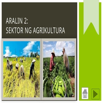 SECTOR NG AGRIKULTURA FOR GRADE 9 ARALING PANLIPUNAN FOURTH QUARTER | PPTX