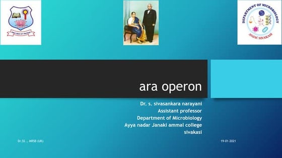 Arabinose Operon.pdf od molecular biology lac opron | PPT