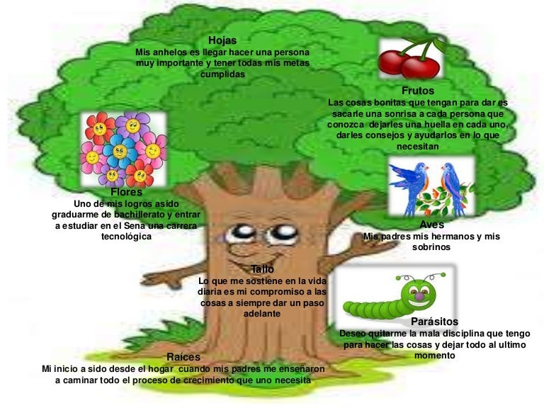 Arbol Proyecto De Vida