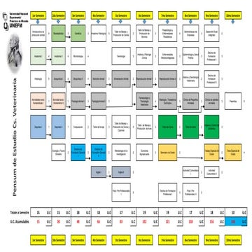 Arbol de prelaciones unefm | PPTX