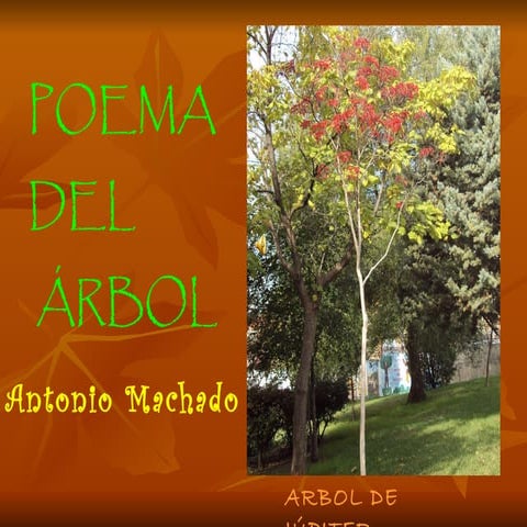 Arboles y poesía. | PPT