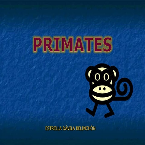 árbol Genealógico De Los Primates Árbol De Evolución Humana De La