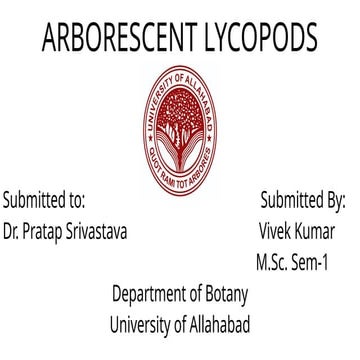 ARBORESCENT LYCOPODS PRIMITIVE PTERIDOPHYTES | PPTX