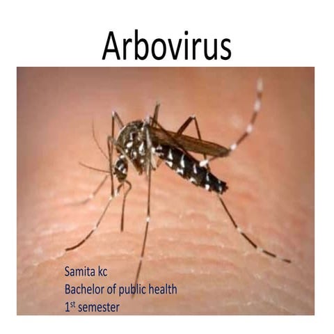 Arbovirus and its casution | PPTX