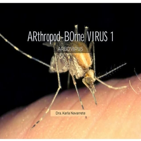 DENGUE viro.pptx bacteriologia y virología | PPTX
