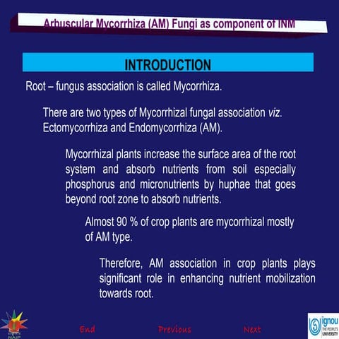 mycorrhizae as a component of inm 2 | PPT