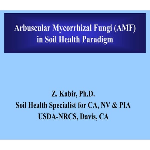 Arbuscular Mycorrhizal Fungi In Soil