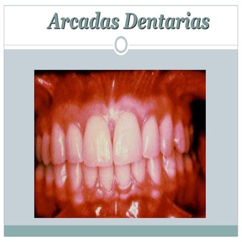 Anatomía dentaria - Arcadas-dentarias.ppt