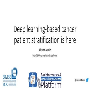 Deep learning-based cancer patient stratification | PDF