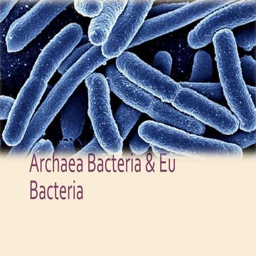 Archaea Bacteria & Eu Bacteria.pptx