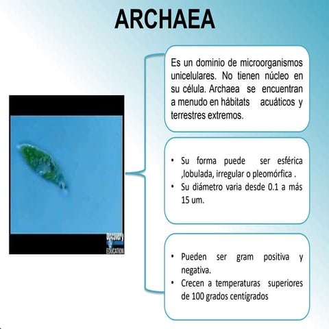 Habitat Termoacidofilos Arqueas | PDF | Archaea | Biología Celular)