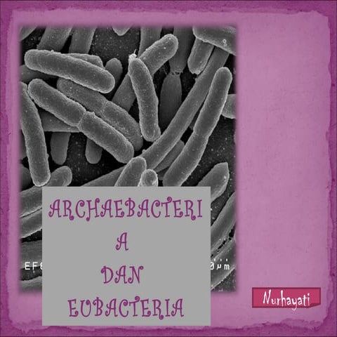Archaebacteria & eubacteria | PPT