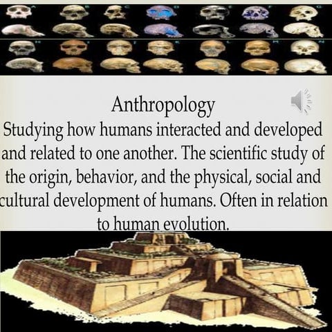 Archaeology and anthropology | PPT