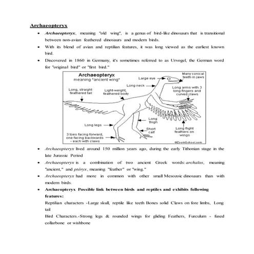 Fish vertebral column | PPTX