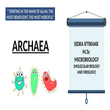 Archaea Bacteria (Methanogens, Halophiles, Thermophiles) | PDF
