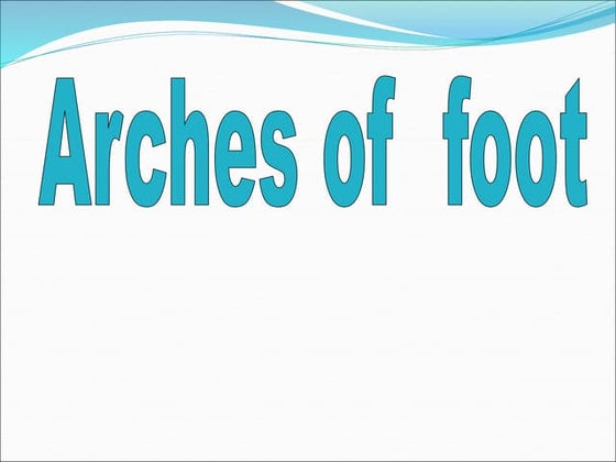 Anatomy of knee joint | PPT