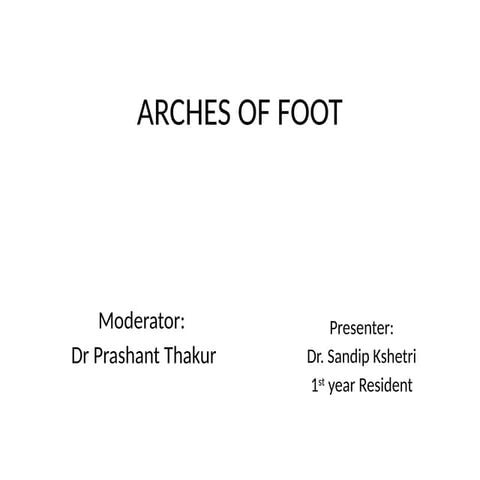 Comprehensive Overview of Foot Arches: Anatomy, Function, and Clinical ...
