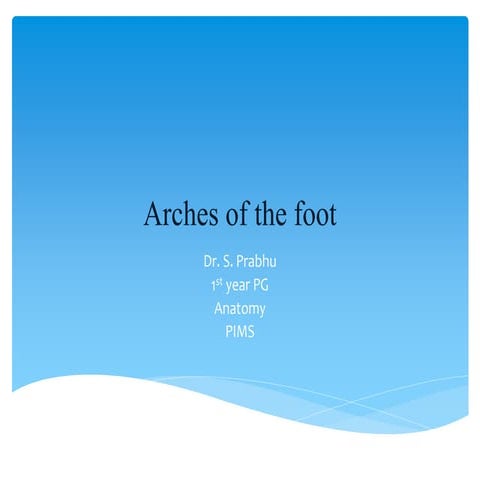 Arches of the foot | PPTX
