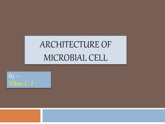 Structure of bacterial cell | PPTX