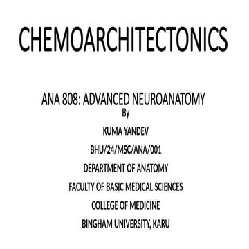 ARCHITECTONICS /advanced neuroanatomy.pptx
