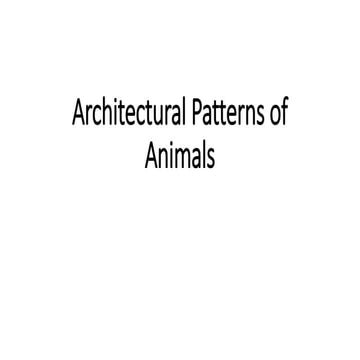 Architectural patterns of animals | PPTX