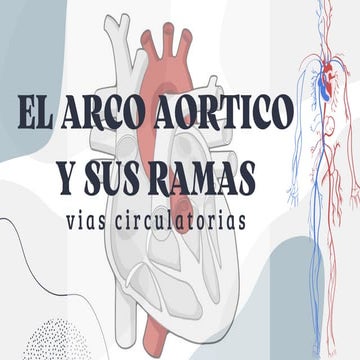 Arco aortico y ramas.pdf