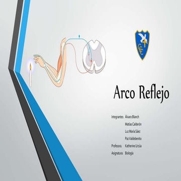 Arco reflejo | PPTX