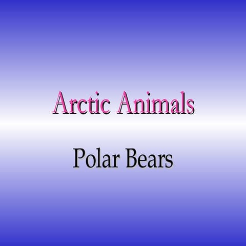 Arctic Animals | PPT