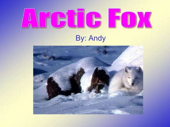 Arctic Fox by George | PPT