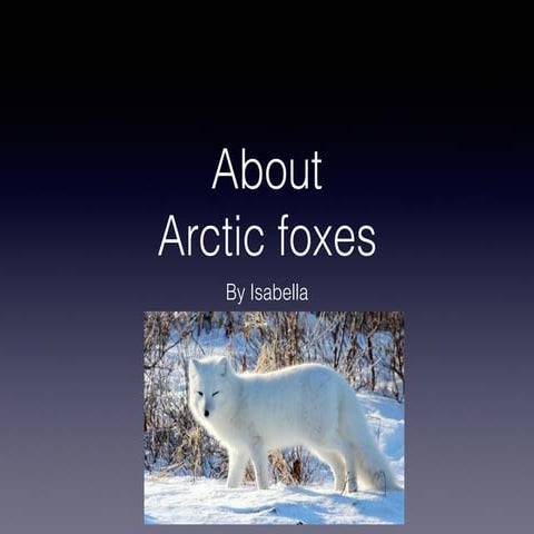 Arctic Foxes by Isabella | PPT