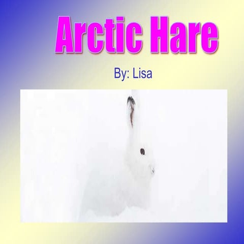 Arctic hare Lisa | PPTX