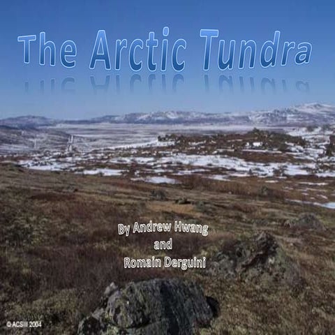 Arctic Tundra Biome Project | PPTX