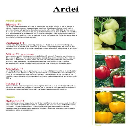 Ardei gras bianca f1, vedrana_f1,_milica_f1,_maratos_f1,_fiesta_f1,_belcanto_f1,_nemezis_f1 ...