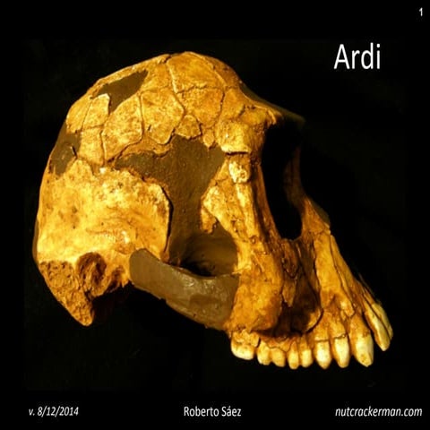 Ardi | PDF