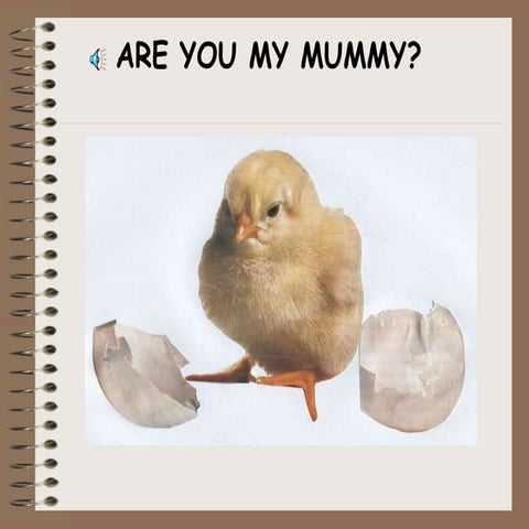 Are You My Mummy | PPS