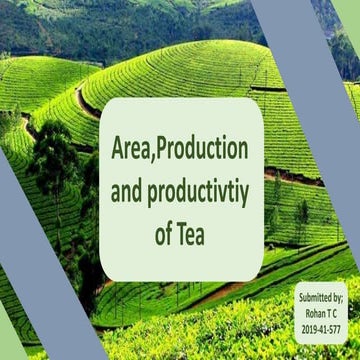 Area,Production and Productivity of Tea.pptx