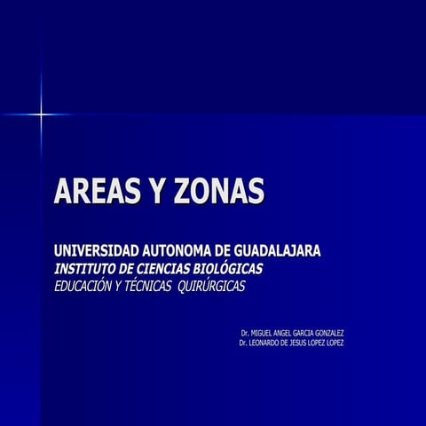 Areas Y Zonas | PPT