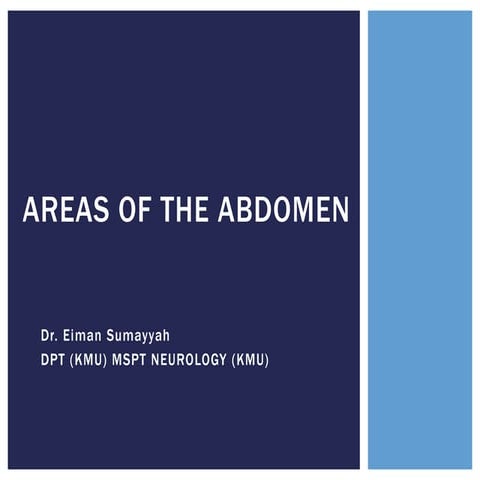 Areas of the abdomen | PPTX