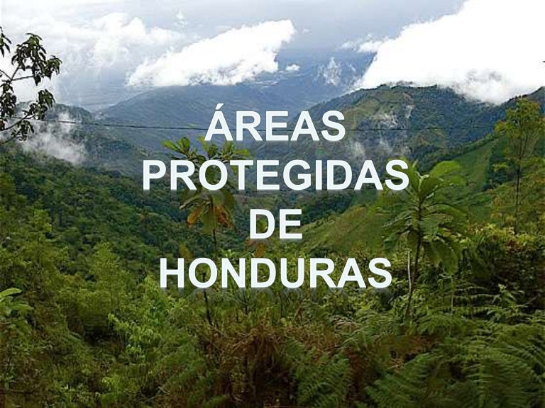 Parque Nacional De Honduras Nombres – LOCKL