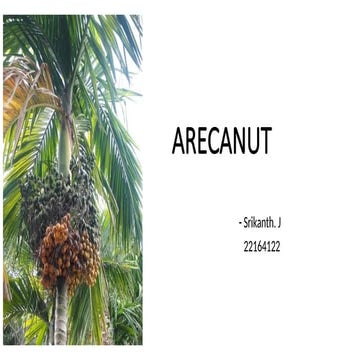 Arecanut Processing.pptx