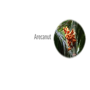 Butea monosperma (ankit sharda) | PPT